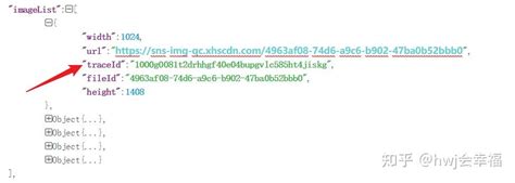 爬取小红书无水印视频和图片教程 非第三方接口 知乎 爬取小红书无水印视频和图片教程 非第三方接口 知乎