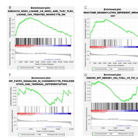 Differential Expression Of Aging Related Genes In Taad A Principal