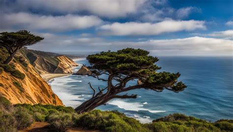 Torrey Pines State Natural Reserve Explore California Parks Verdant