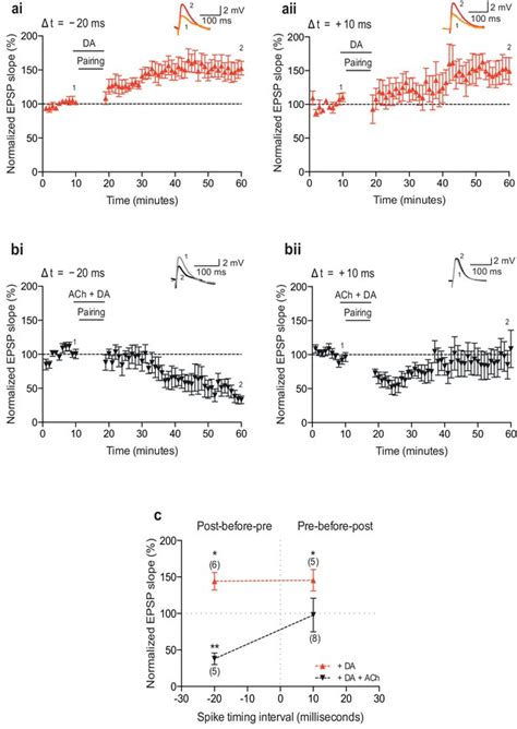 Figures And Data In Sequential Neuromodulation Of Hebbian Plasticity