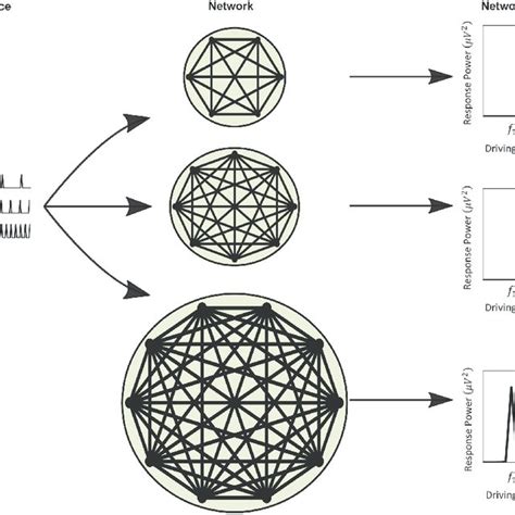 Wilson Cowan Model Schematic Diagram A The Wilson Cowan Network Model Download Scientific