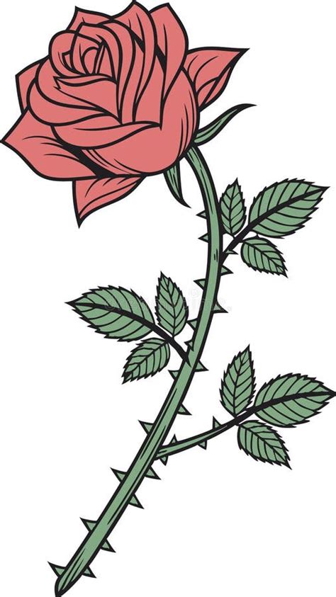 A Rose With Thorns On The Stem Stock Illustration Illustration Of