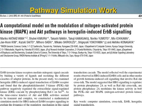 Ppt Content Example Of Pathway Simulation Work And Map Pathway Simulation Model And Equations