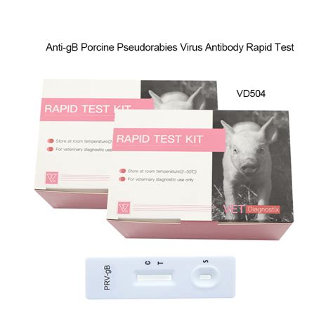 Prv Gb Anti Gb Porcine Pseudorabies Virus Antibody Rapid Test