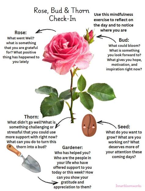 Rose Bud And Thorn Check In Worksheet Printable Therapy Tool For