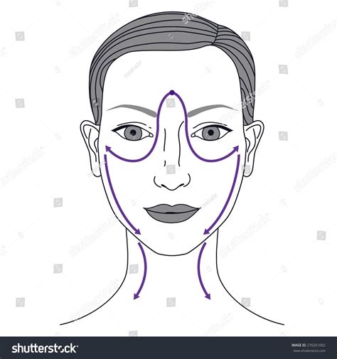 Face Map Massage Lines Methods Application Stock Vector Royalty Free