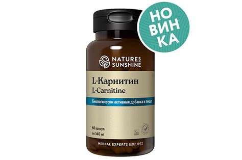 Купить L-карнитин НСП в СПб - описание, инструкция по применению, состав