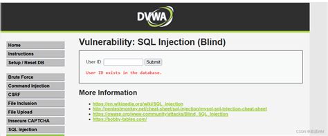 sql注入攻防：从低到高难度解析 csdn博客