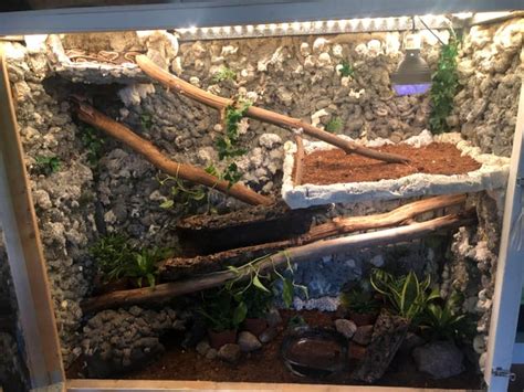 She Absolutely Loved Her New Sky Hide 🥰🐍 R Ballpython