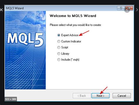 Create Expert Advisor Ea Robot Indicators Script For Mql4 Mql5 Forex By Cryptobotman Fiverr