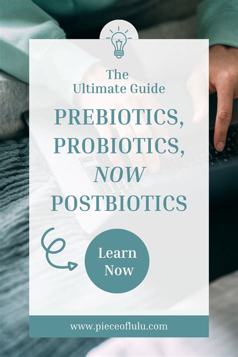 The Ultimate Guide To Postbiotics Professional Nutritionist Piece