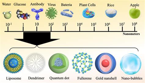Different Nanoparticles Compared With Familiar Items Modified And Download Scientific Diagram