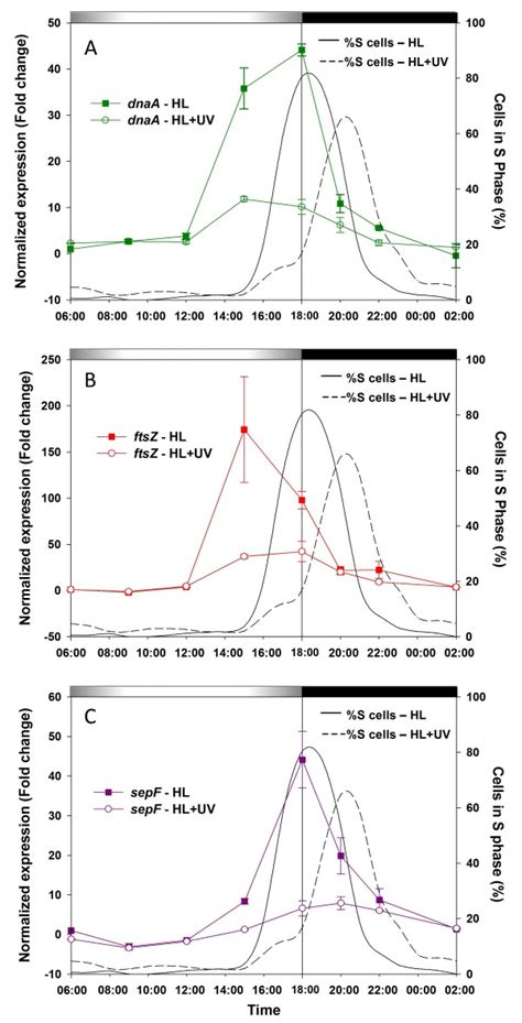 Gene Expression Patterns Of L D Synchronized Prochlorococcus Marinus Download Scientific