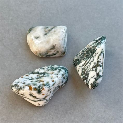 Agate Tree Tumbled The Crystal People