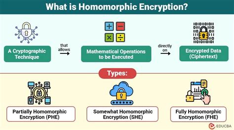 Homomorphic Encryption Importance Working Types