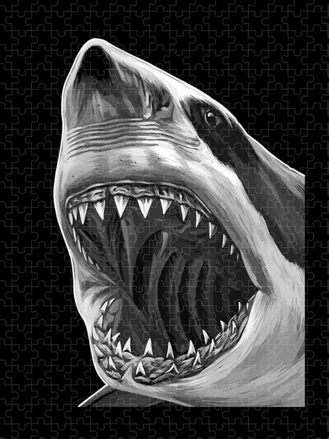 Shark Mouth Drawing