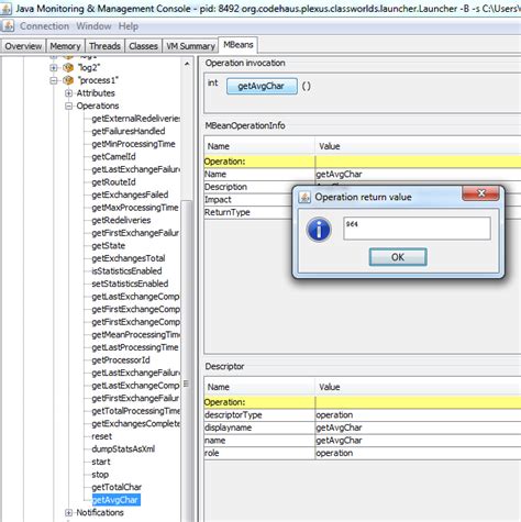 My Thoughts On Java And The JVM Monitoring And Managing Apache Camel