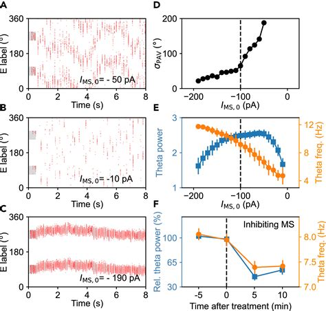 Intrinsic Theta Oscillation In The Attractor Network Of Grid Cells Iscience
