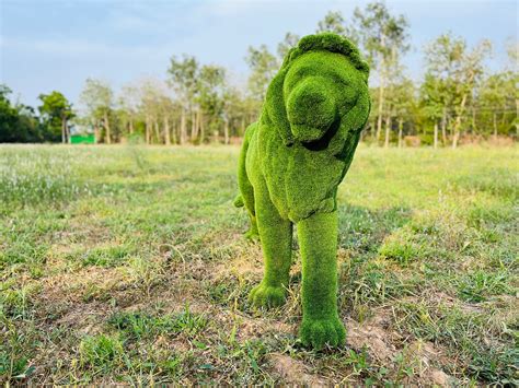 Large Artificial Grass Animals At Ali Farrow Blog