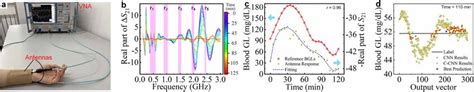 A The Experimental Setup For Ultra Wide Band Microwave Measurements Download Scientific