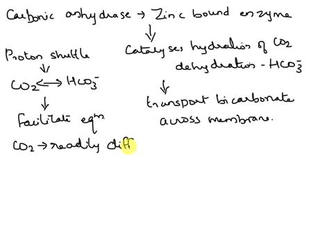 Solved Complex Question Carbonic Anhydrase Catalyzes The Reversible