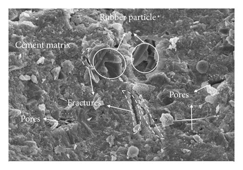 Microstructures Of The Interfacial Transition Zone Subjected To A 0 Download Scientific