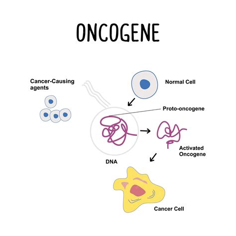 Premium Vector Oncogene A Mutated Gene That Can Promote The Growth
