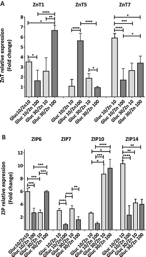 Relative Expression Of Znt1 Znt5 And Znt7 Panel A And Zip6 Zip7