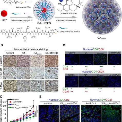 Self Assembled Nanoclusters Targeting β Catenin Enhanced Tumor