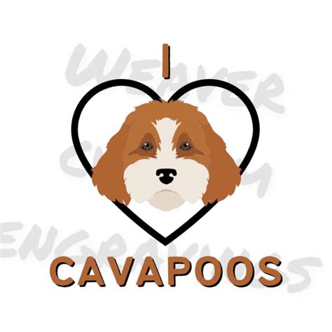 I Love Cavapoos Svg Png Pdf Cavapoo Dog Art Dog Owner Clipart Dog