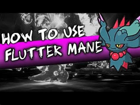 BEST Sets For Flutter Mane Competitive Guides YouTube