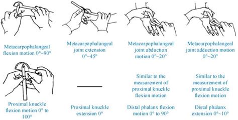Metacarpophalangeal Joint Movement