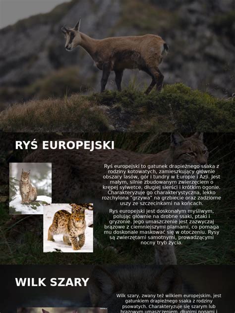 Gatunki Ssaków Zagrożonych W Polsce Pdf