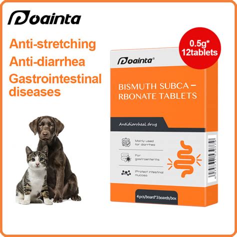 Cat Gastroenteritis Treatment At Angelina Varley Blog