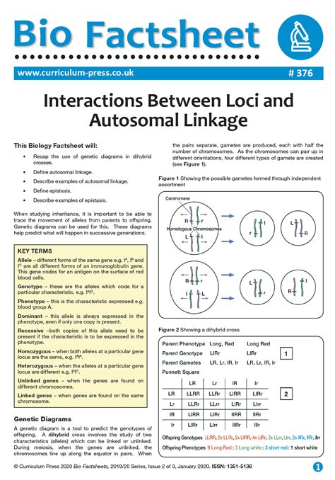 A Level Biology Resources Aqa Ocr Edexcel And Wjec