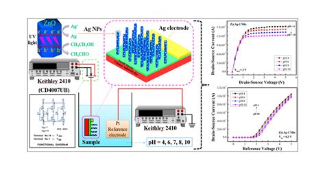 High Sensitivity Of Extended Gate Field Effect Transistors Based On 1 D