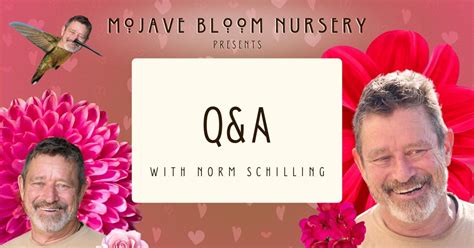 Qanda With Norm Schilling 1401 Searles Ave 89101 Las Vegas 15 February 2025 Allevents