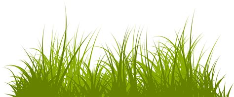 Grass Png Wild Grass Isolated 16583608 Png