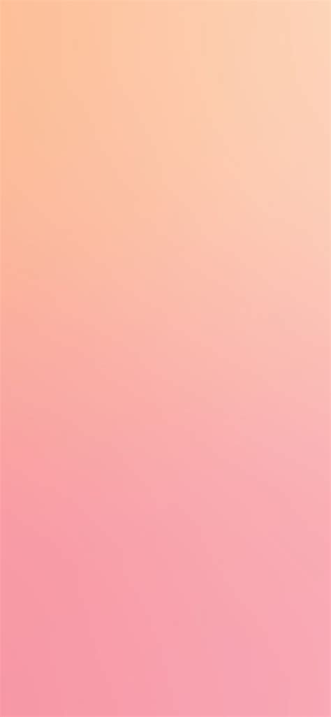 그라데이션 흐림 소프트 핑크 파스텔 전화 벡터입니다 By 수녀님 아우라 컬러 파스텔 그라데이션 귀여운 패턴