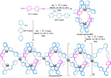 西湖大学刘志常团队—构筑无限扭转的“8”字项链聚索烃 X Mol资讯