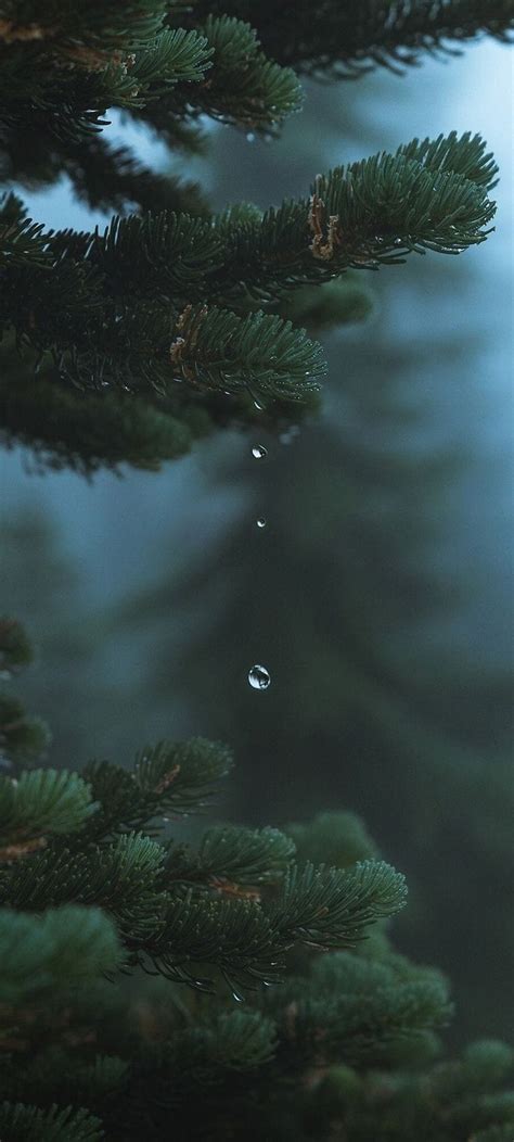 მე ვარ პოეზია სჯობს იყო მარტო ვიდრე ნებისმიერ შემხვედრთან ერთად“ ომარ ხაიამი Facebook