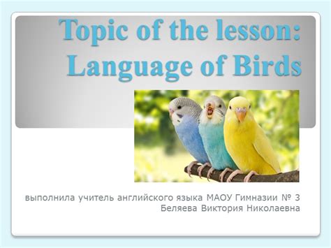Презентация к уроку английского языка на тему language of birds 7