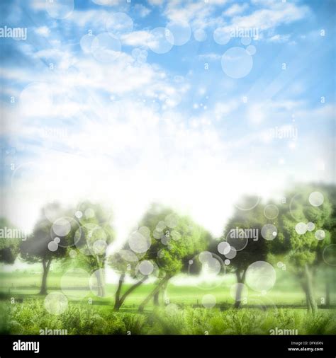 Trees And Sky Abstract Background Stock Photo Alamy