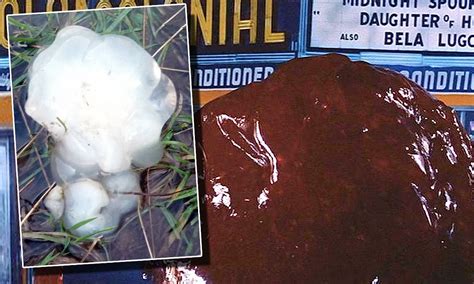 The Real Life Blob Is Mysterious Translucent Jelly Found In Cambrian