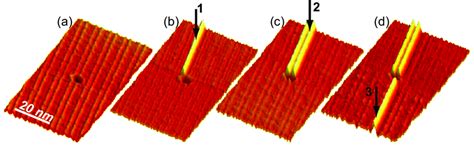 a stm image of the original monomolecular layer of download