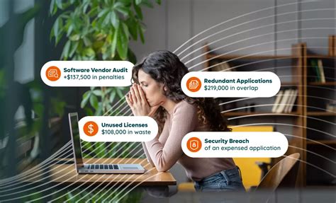 Software Asset Management 2 0 Zylo