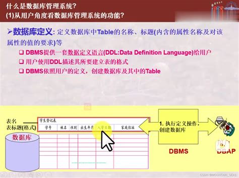 【数据库学习】02数据库管理系统具有什么功能（用户角度） Csdn博客