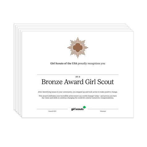 Bronze Award Girl Scouts