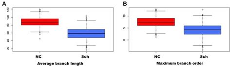 Comparison of A average branch length in µm P and B branch Download Scientific