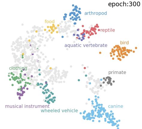 Self Supervised Vision Transformers Dino — Object Recognition Lecture